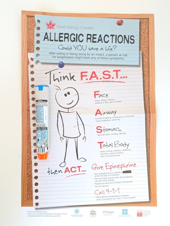 How to Have an Allergy-Friendly Kitchen and Be Prepared for an Allergic ...