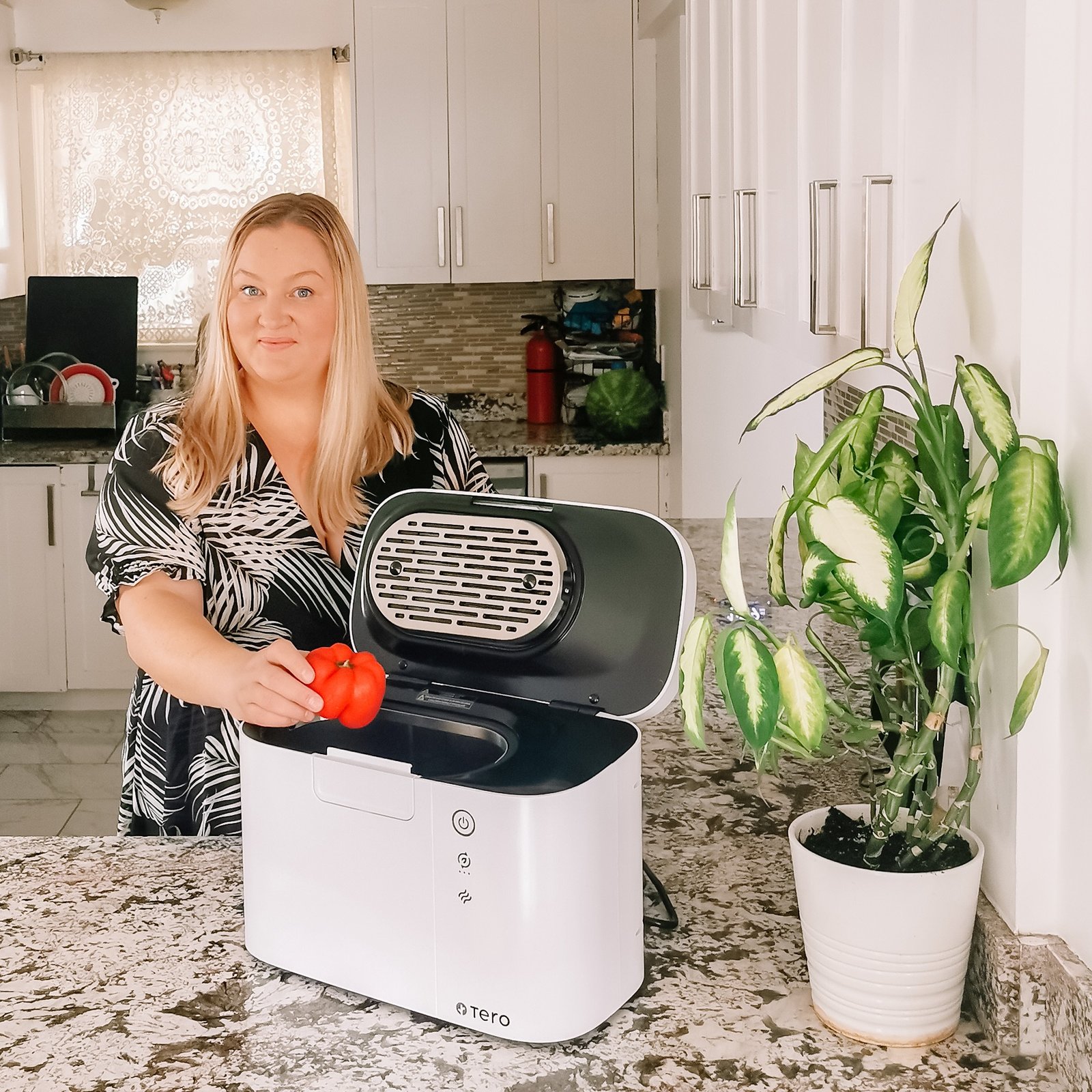 Tero: Everything You Need to Know