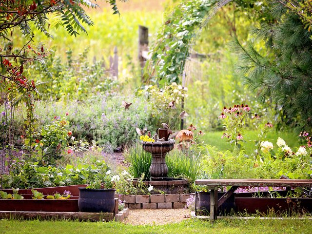 Tips To Make Your Backyard More Environment-Friendly